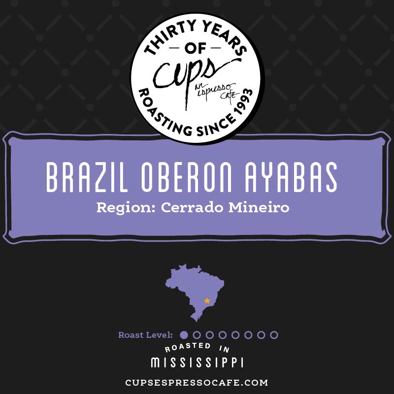 Brazil Oberon Ayabas | Cups Espresso Cafe